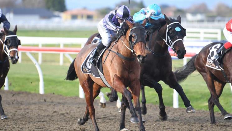 Mathews in high spirits ahead of Trentham - JOINTHEACTION.CO.NZ