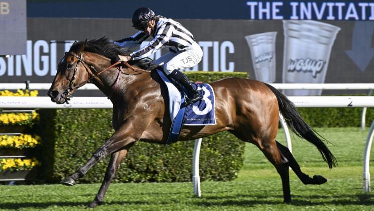 Ellerslie mile crown calling for Belclare - JOINTHEACTION.CO.NZ