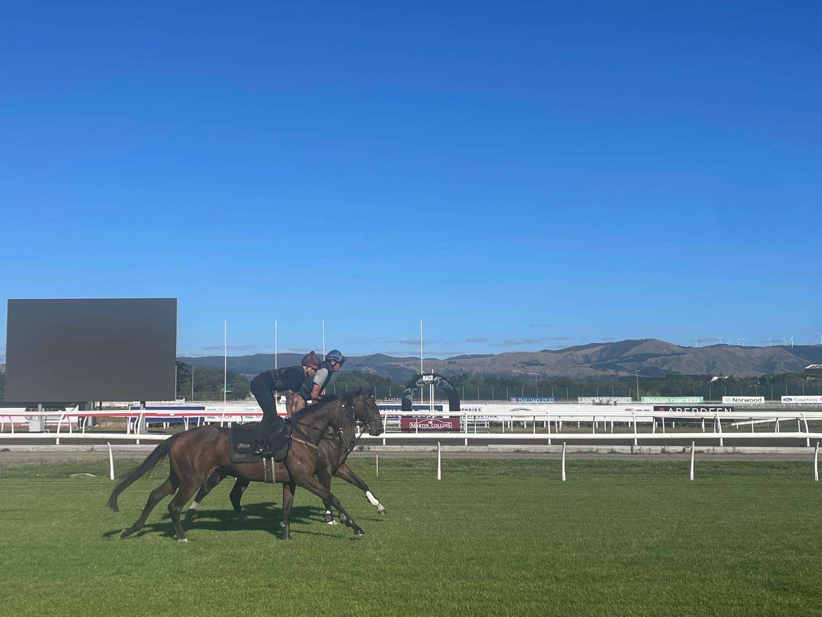 Horses Return to RACE Awapuni Course Proper - JOINTHEACTION.CO.NZ