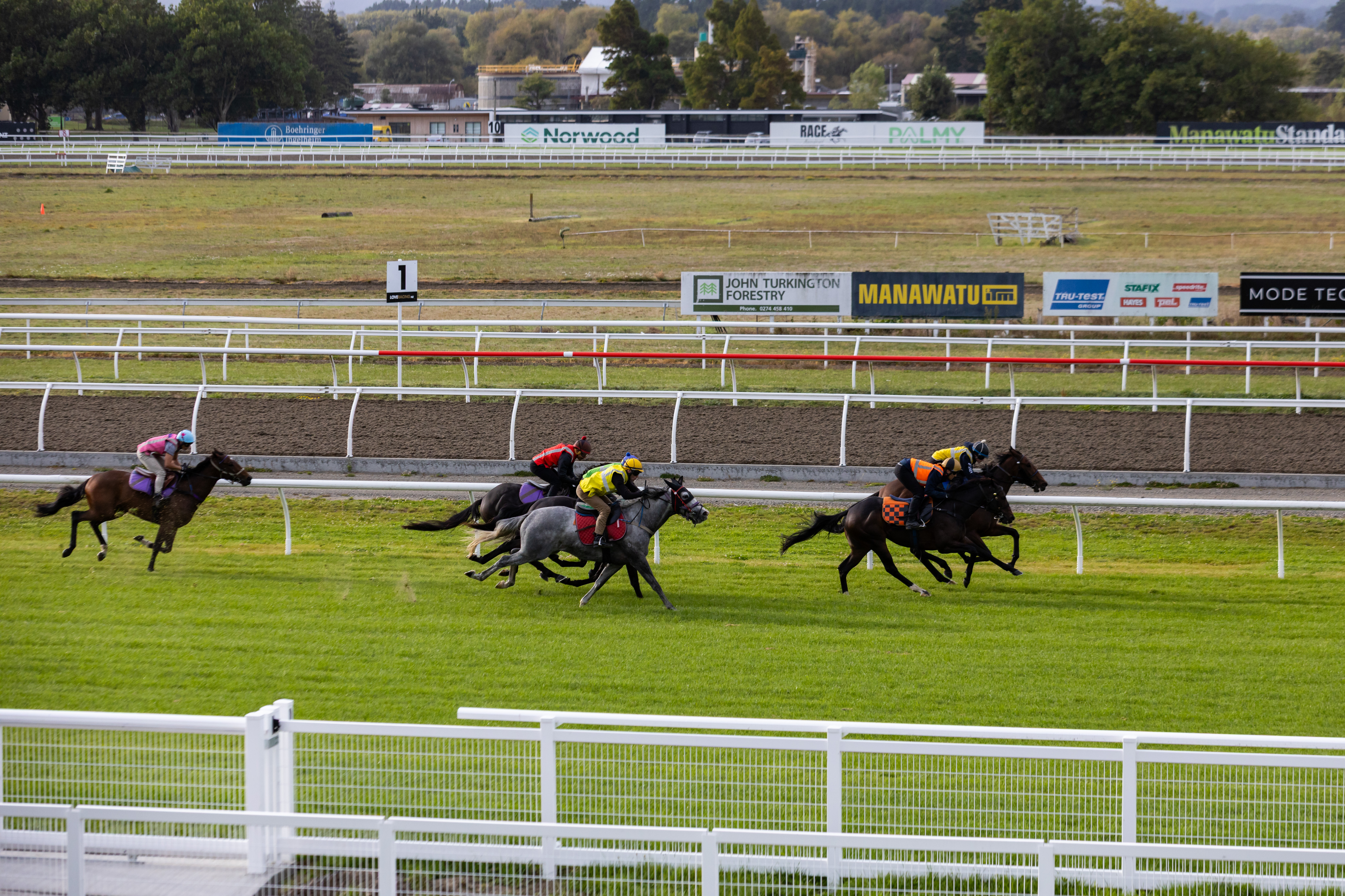 RACE Completes Final Phase of ‘Return to Racing’ Plan at Awapuni ...